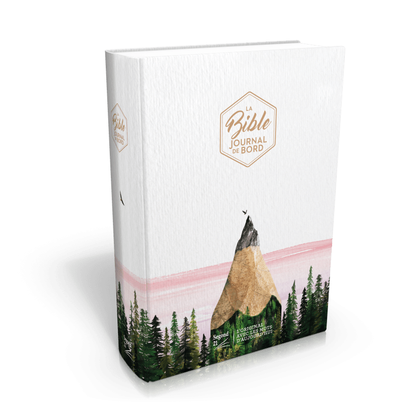 Bible Segond 21 Journal de bord - couverture rigide illustrée motif ...