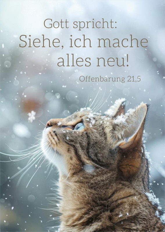 Poster A2 JL 2026 Motiv Katze - Offenbarung 21,5 :: La Maison de la ...