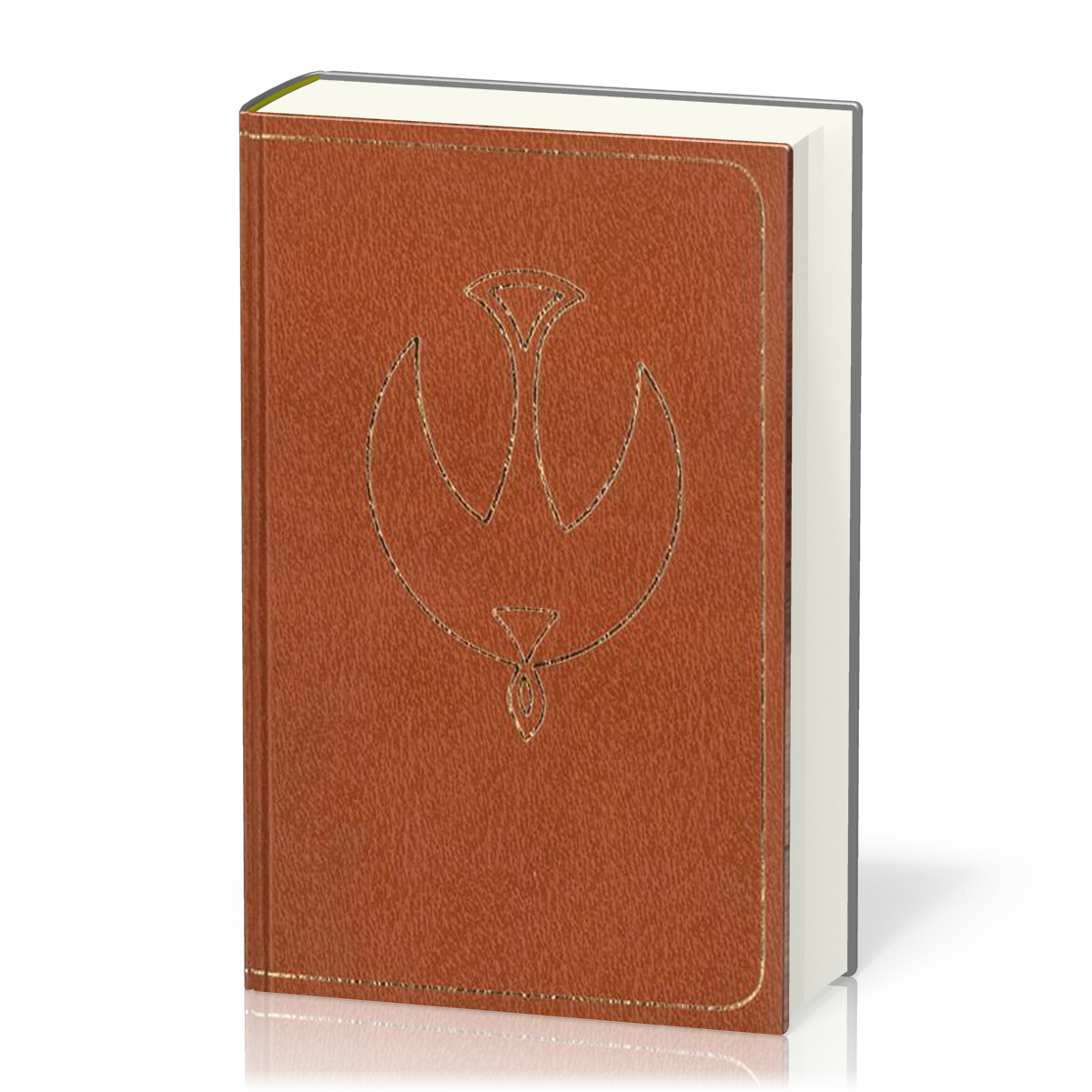 Bible à la Colombe Segond 1978, fauve - couverture rigide, skyvertex ...