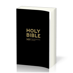 Anglais, Bible, NIV, Gift & Award, noire - NIV Holy Bible - Anglicised ...